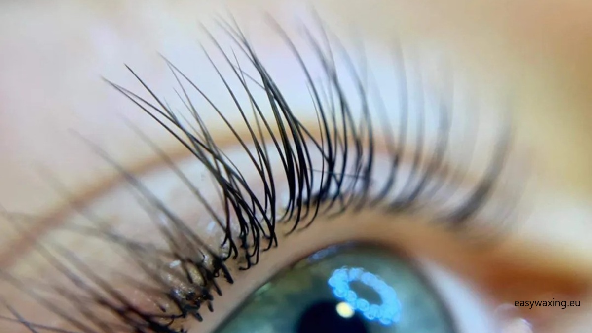 Eyelash Henna Before and After – Effects, Photos, and Care Tips